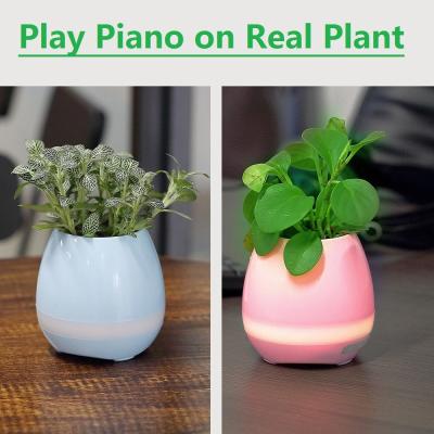China 2017 New Creative gift Play Piano on Real Plant Smart Music Flower pot with Bluetooth Speaker for sale