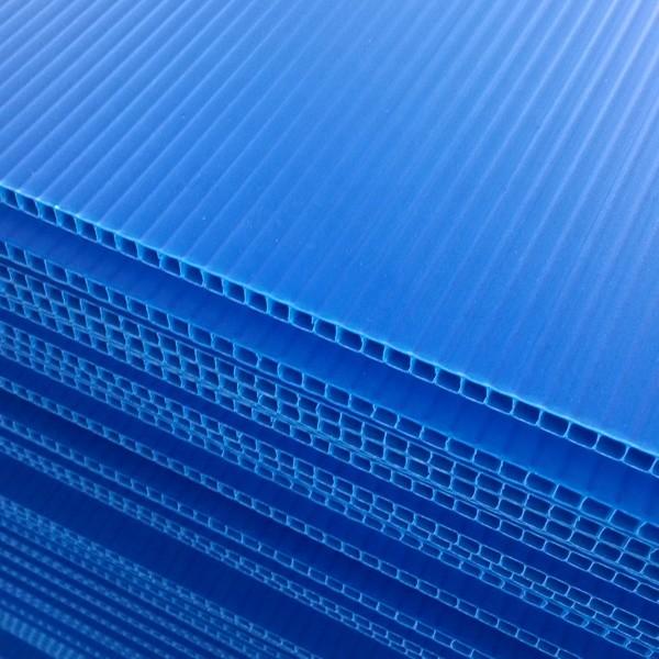 Quality Blue Color Polypropylene Material  4x8 Corrugated Plastic Coroplast Sheet for sale
