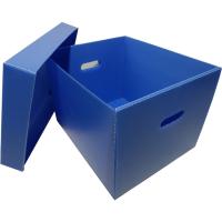 China Fluted Polypropylene PP Plastic Corflute Archive Box for sale