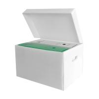 China Fluted Polypropylene PP Plastic Corflute Archive Box for sale