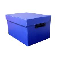 China Fluted Polypropylene PP Plastic Corflute Archive Box for sale