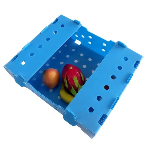 Quality Folding Fluted Polypropylene Plastic Fresh Okra Box for Packing Storage for sale