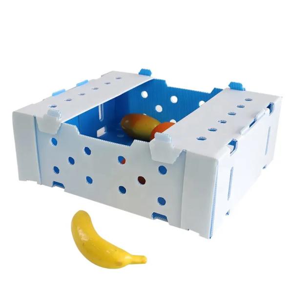 Quality Folding Fluted Polypropylene Plastic Fresh Okra Box for Packing Storage for sale