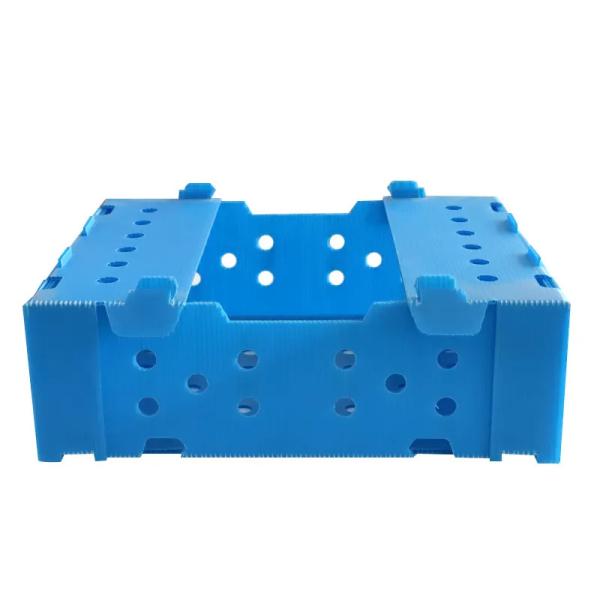 Quality Folding Fluted Polypropylene Plastic Fresh Okra Box for Packing Storage for sale