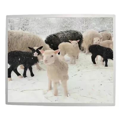 China FS121-E10-Z Small LCD Panel with Hard Coating (3H) LED Backlight and 16.7 Million Colors for Embedded Systems for sale