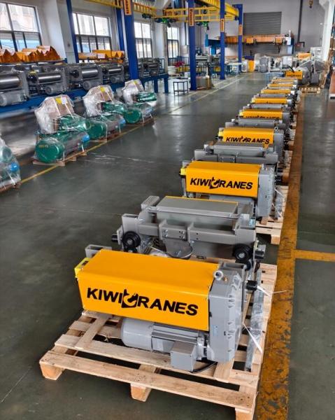 Quality 3.2T 6M Single Girder Electric Wire Rope Hoist Factory European Style for sale