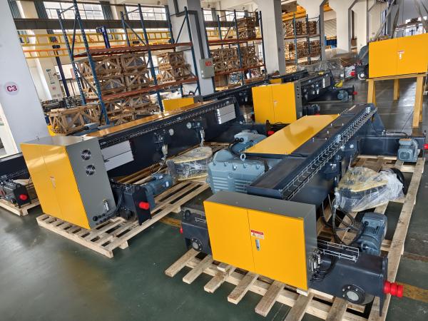 Quality 6.3T 9M Single Girder Wire Rope Hoist Factory European Style Single Beam for sale