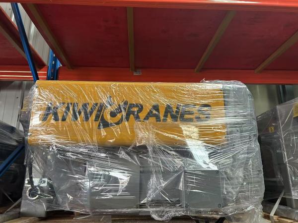 Quality 6.3T 9M Single Girder Wire Rope Hoist Factory European Style Single Beam for sale