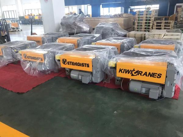 Quality 12.5T 9M Single Girder Wire Rope Hoist European Style Factory Use for sale