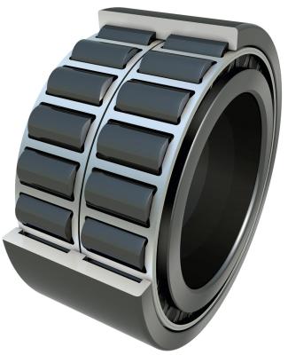 Cina NJ 1036 ML;NU 1036 ML Cylindrical Roller Bearings Use For Stainless Steel Filter Sieve Machine in vendita