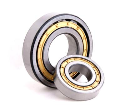 China NU 221 ECP Cylindrical Roller Bearings 105*190*36mm use for Belt Driven Spindle for sale