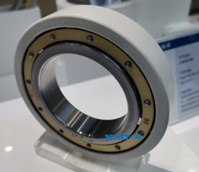 Cina NU1020M/C3VL0241	cuscinetti di Insocoat isolati 100*150*24mm per i motori elettrici in vendita