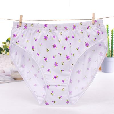 China Customized plus size cotton ladies underwear en venta