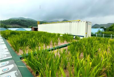 Китай Инновационное оборудование для очистки воды для промышленных сточных вод с технологией мелководного флотации и без гидравлических мертвых точек продается