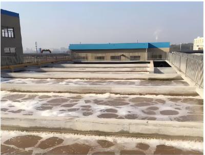 Cina Migliora il tuo sistema di trattamento delle acque reflue con l'attrezzatura avanzata di trattamento dell'acqua di Bubble Technology in vendita