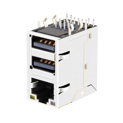 中国 LPJU4101AONL 10/100 ベース-T グリーン&オレンジ/イエロー LED タブアップ デュアルUSB RJ45コネクタ 販売のため