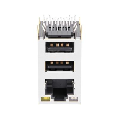 Cina Impulso JW0-0013NL Compatibile LINK-PP LPJU5303BONL 100/1000 Base-T Tab Up Dual USB RJ45 Connector Verde&Arancione/Giallo LED in vendita