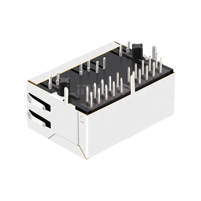 Cina LPJG26973AFNL 100/1000 Base-T 1X2 Port Tab Down Verde/Verde Led RJ45 connettore Magjack in vendita
