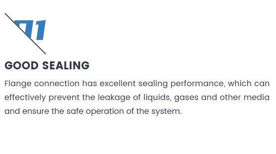 Flange Carbon Steel ANSI/ASME Pipe Fitting