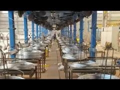 Высокопрочная оцинкованная стальная проволока 0,3 - 11,0 мм Электро оцинкованная связывающая проволока оцинкованная, черная оцинкованная плоская проволока нелегированная
