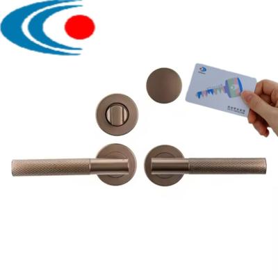China Anti Corrosion Reinforced Panel Apartment Hotel Smart Locks With Hotel Room Card Access System for sale
