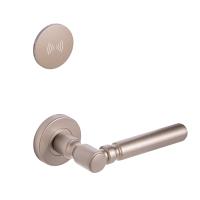 Quality Grade C Security Smart Hotel Lock with 18-Month Battery Life and 1000 kg for sale