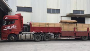 China Factory - Shenzhen Magic Bamboo Industrial Co., Ltd.