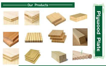China Factory - Shenzhen Magic Bamboo Industrial Co., Ltd.