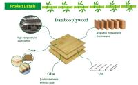 China 3mm Solid Flat Grain Bamboo Plywood Table Top Decorative Sheets for sale