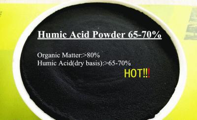 China Humic Acid 65-70% Powder for sale