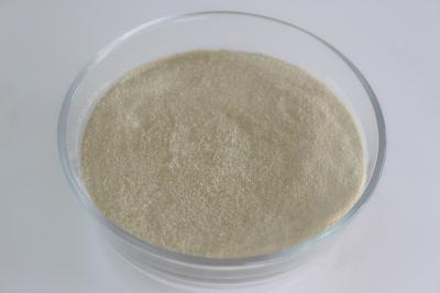 China Best Quality Organic Nutrition Amino Acid Powder 45%-50%(Without chloride) for sale