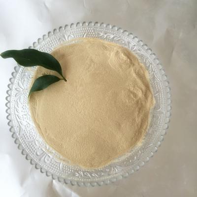 China Amino Acid Powder 60% for sale