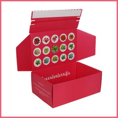 Cina Pantone Color Mailer Shipping Box Scatole postali colorate con laminazione opaca lucida in vendita