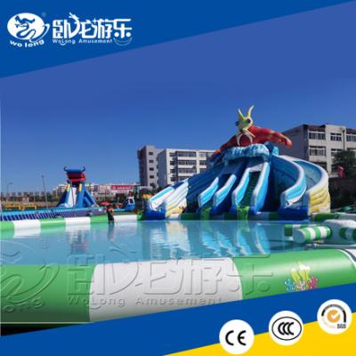 China giant inflatable slide, giant inflatable water slide for summer, inflatable jumping slide for sale for sale