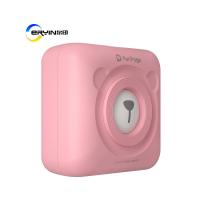 China Peripage 203 Dpi Inkless Thermal Printer Mini Handheld 58mm USB Bluetooth for sale