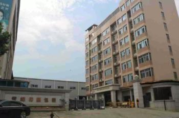 China Factory - Quanzhou Yangxin Machinery Co., Ltd.