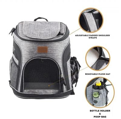 Cina Expandable Travel Carry Pet Carrier Backpack Airline Approved in vendita