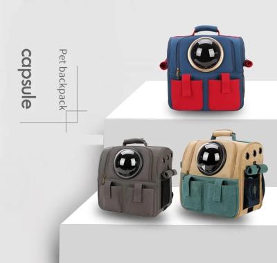 Cina Portable Pet Carrier Bag Transparent Capsule Breathable Travel Parrot Cat Dog Bird Backpack in vendita