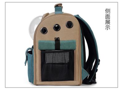 Cina Portable Pet Carrier Bag Transparent Capsule Breathable Travel Parrot Cat Dog Bird Backpack in vendita