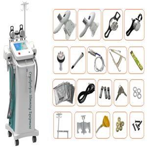 China New design Cryolipolysis Slimming Machine for spa for sale