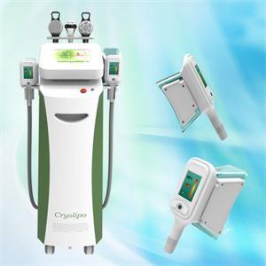 China Laser equipment Cryolipolysis Slimming Machine for salon for sale