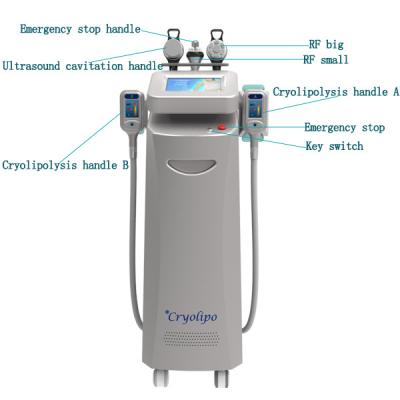 China Beauty systerm Cryolipolysis Slimming Machine with color touch screen for sale