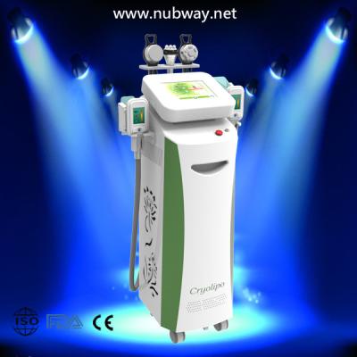 China CE aproved Cryolipolysis Slimming Machine on a Crazy Promotion for sale