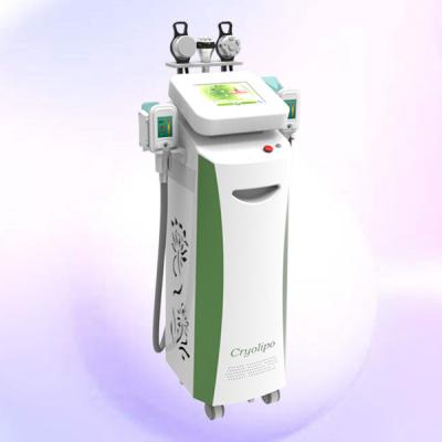 China Weight loss machine Cryolipolysis Slimming Machine want to buy stuff from china for sale