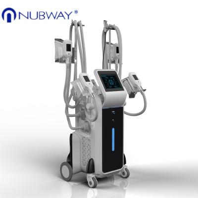 China 2018 Newest fat freezing lose weight cryolipolysis slimming machine for spa for sale