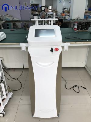 China Cryolipolysis RF handle Cavitation 3 in 1 system body slimming machine for sale