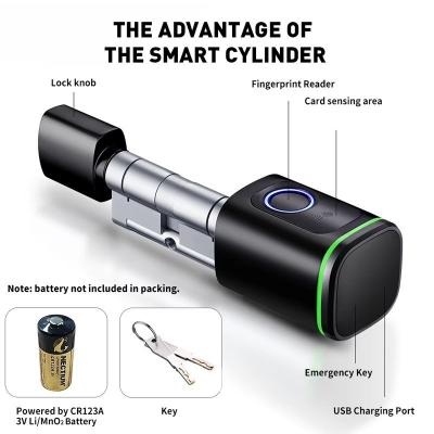 China Tuya Electronic Keyless Door Lock Simple Installation With Password for sale