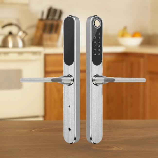 Fingerprint Smart Lock in use
