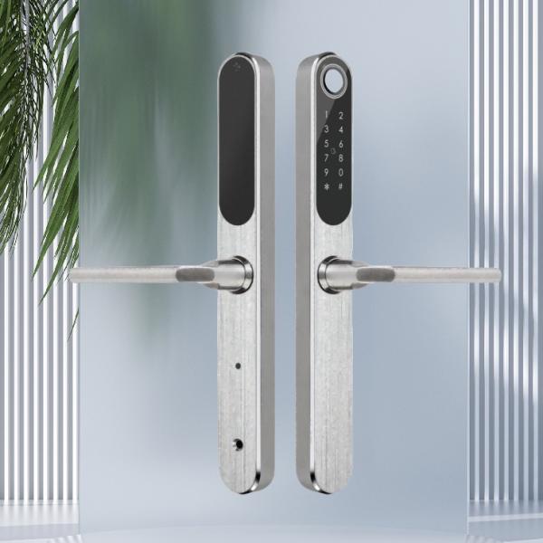 Quality Fingerprint Smart Lock With Camera , Waterproof Keyless Digital Electric Lock for sale