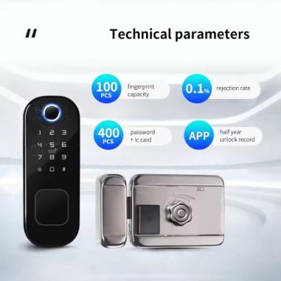 China Tuya Wifi Enabled Fingerprint Glass Door Smart Lock Easy to install for sale